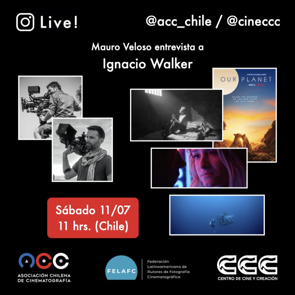 Live ACC: Mauro Veloso ACC entrevista a Ignacio Walker | ACC-CHILE