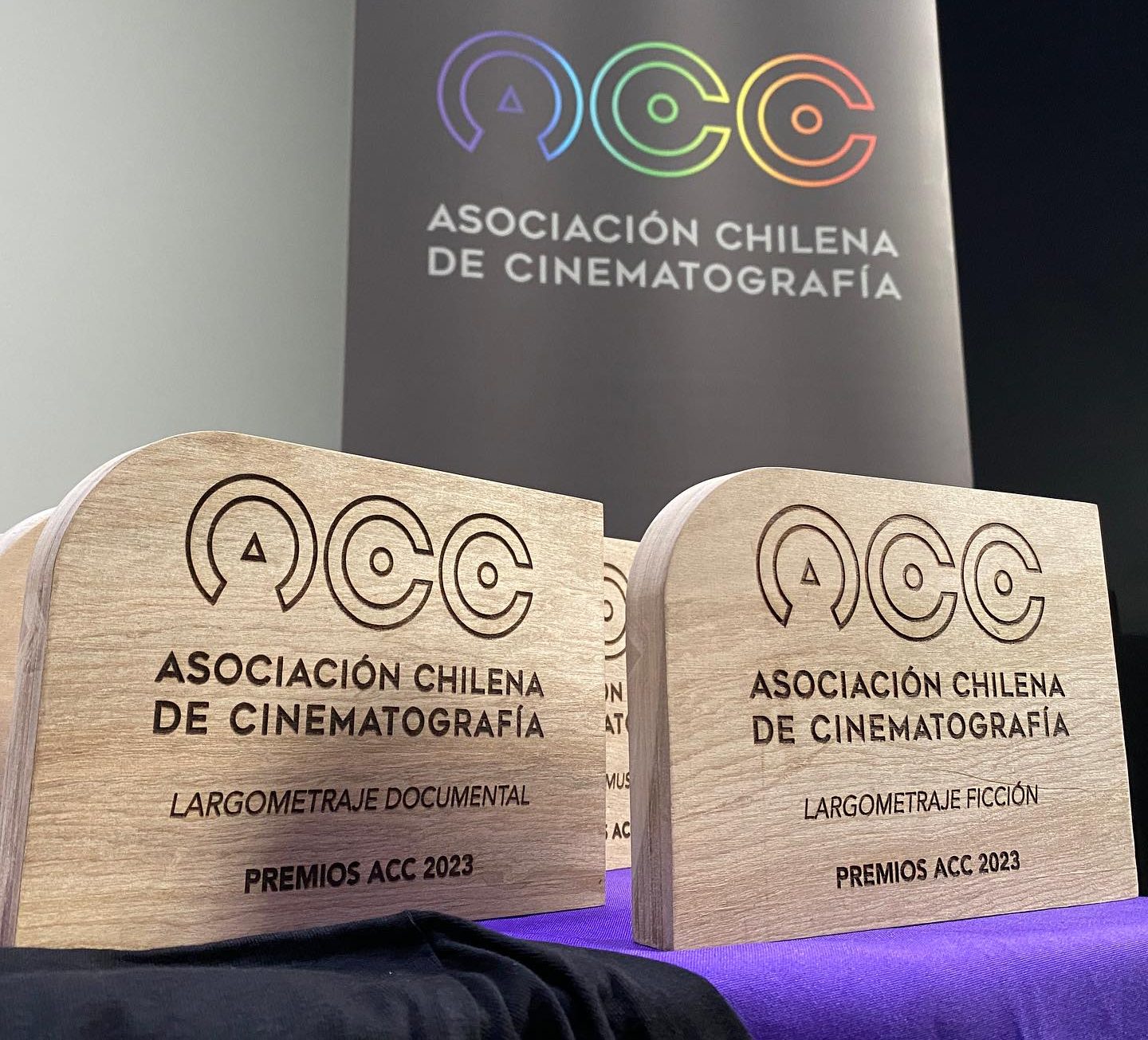 ACC-CHILE | Asociación Chilena de Cinematografía